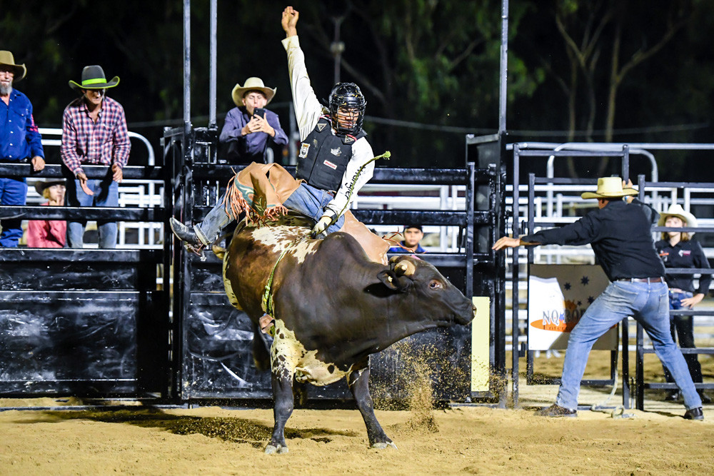 Search for bull riding champion begins | The Express Newspaper Mareeba ...