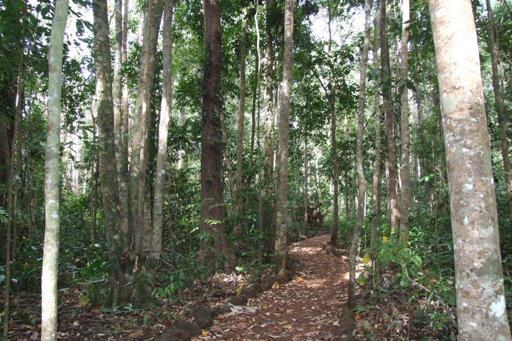 On The Land | The Express Newspaper Mareeba, Atherton, Cooktown ...