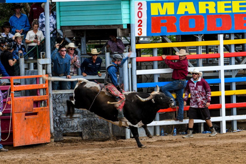 latest-news | The Express Newspaper Mareeba, Atherton, Cooktown ...