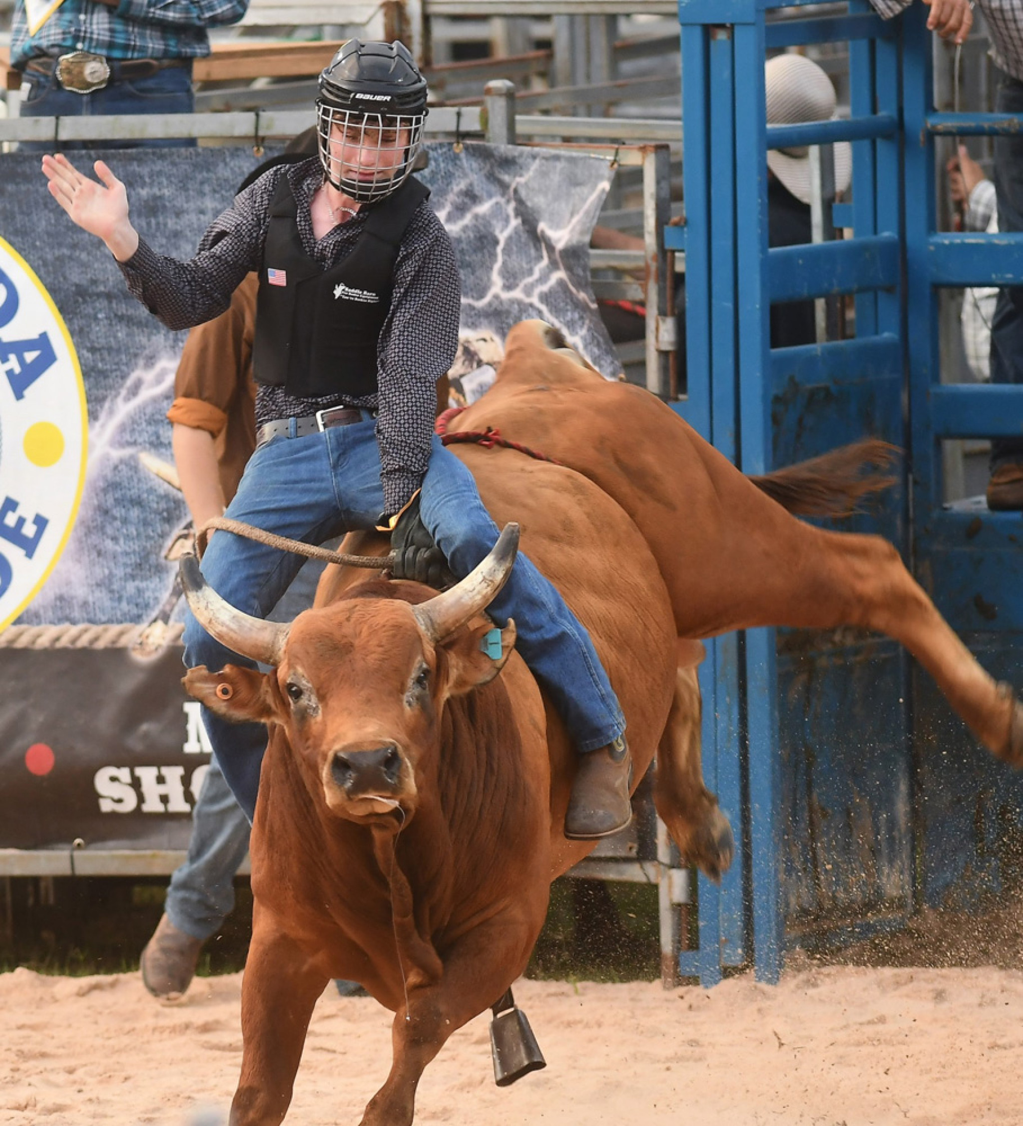 Malanda Bull Ride | The Express Newspaper Mareeba, Atherton, Cooktown ...