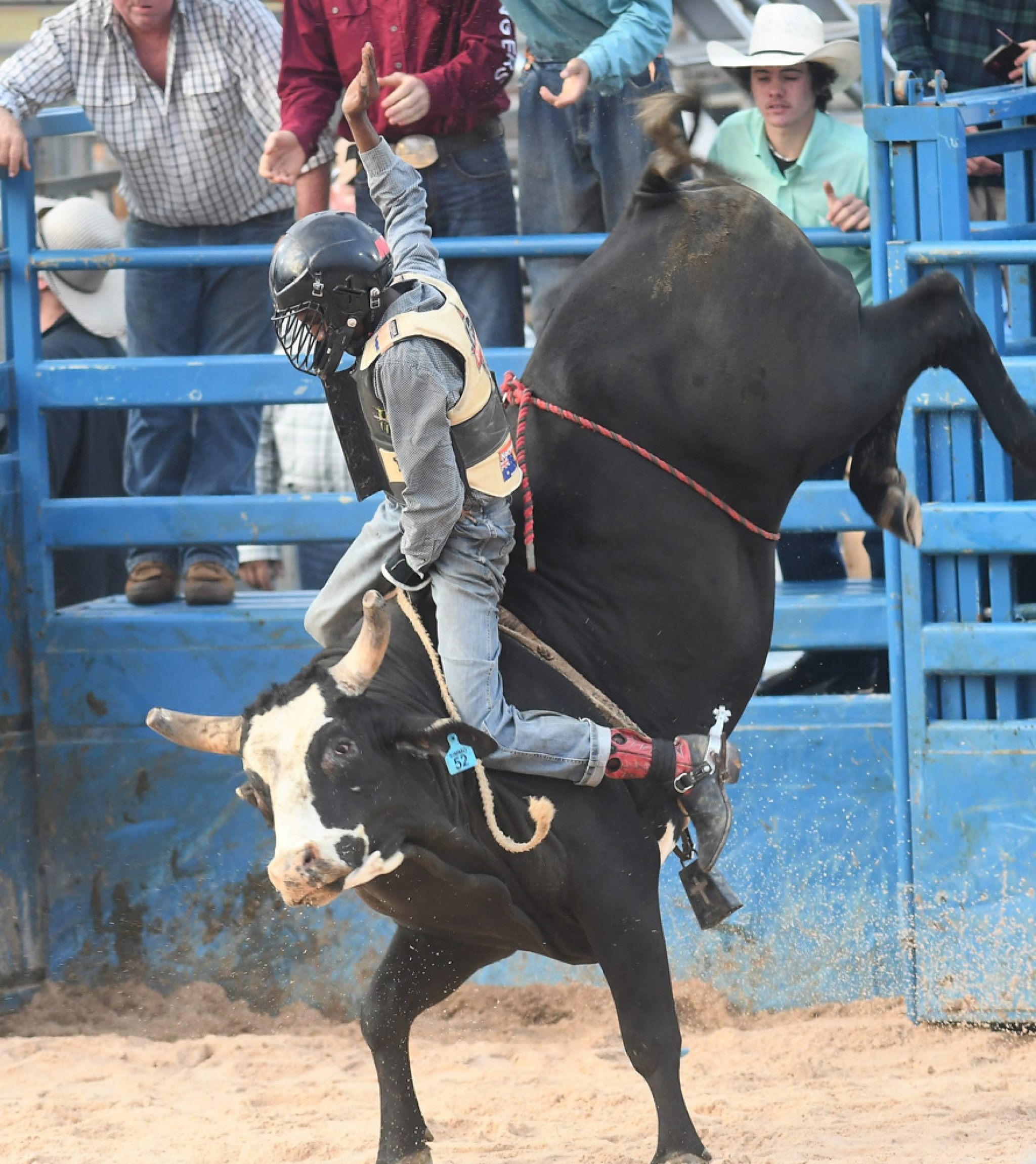 Malanda Bull Ride | The Express Newspaper Mareeba, Atherton, Cooktown ...