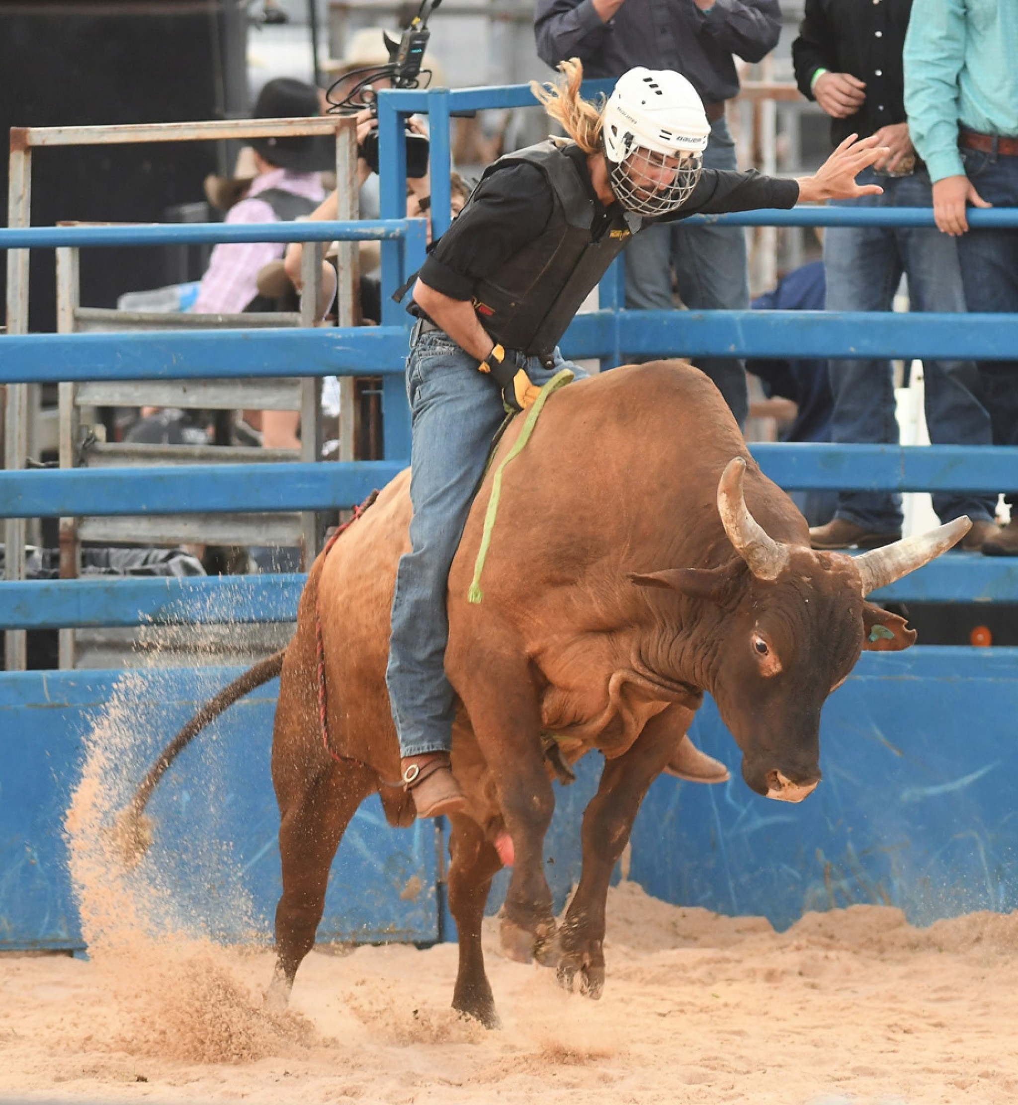 Malanda Bull Ride | The Express Newspaper Mareeba, Atherton, Cooktown ...