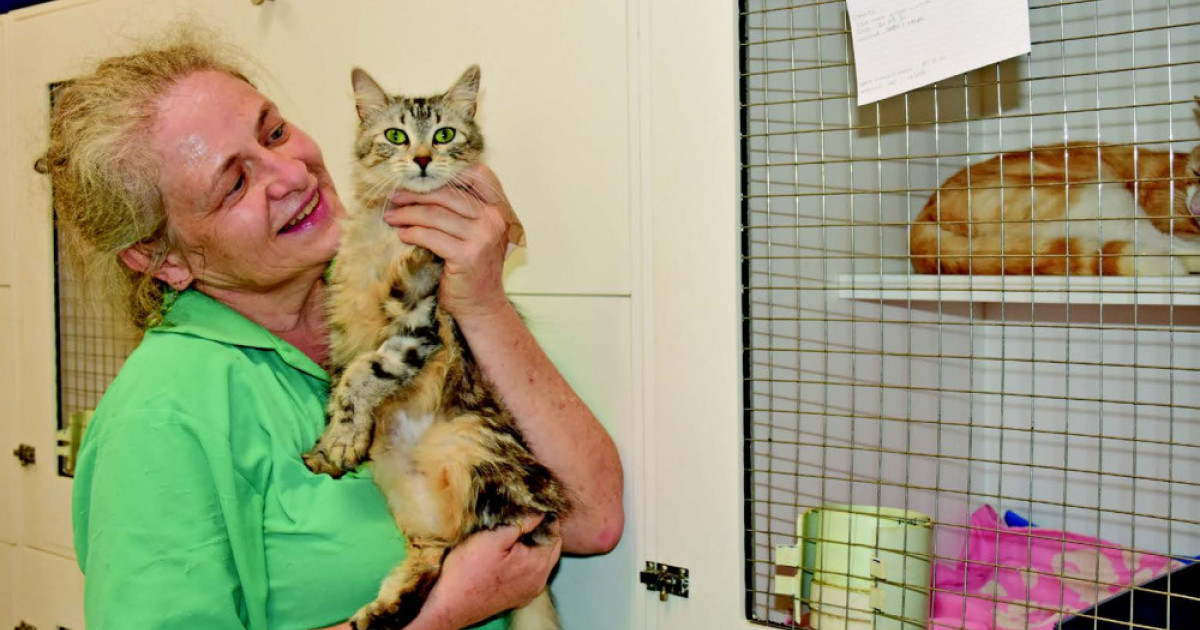Animal refuge enjoys new digs | The Express Newspaper Mareeba, Atherton ...
