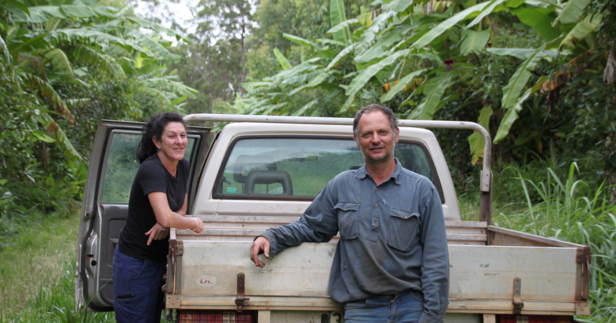 Change of direction for Ravenshoe farmers | The Express Newspaper ...