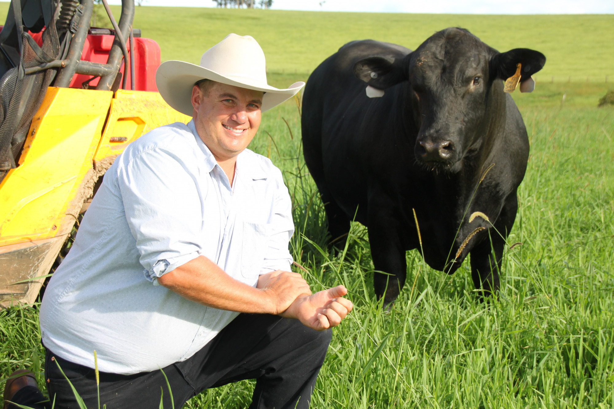 Baronessa breeds best in the world | The Express Newspaper Mareeba ...