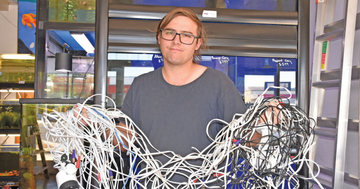 Business considers move over constant town crime | The Express ...