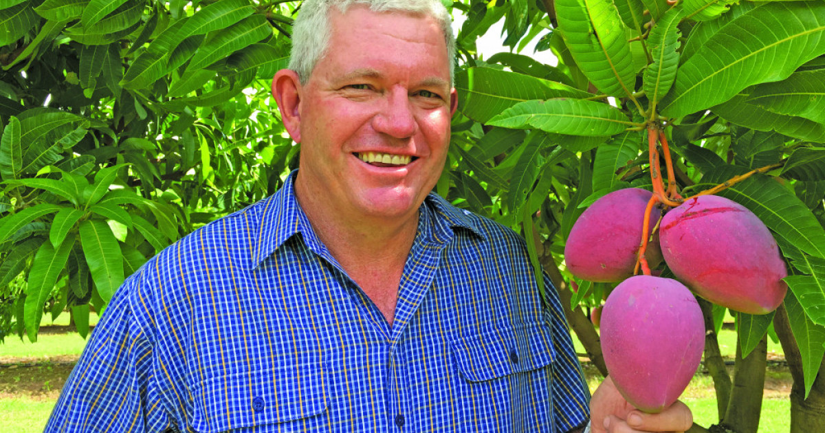 Revolutionary step for Mango industry | The Express Newspaper Mareeba ...