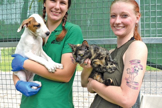 Refuge hits record numbers | The Express Newspaper Mareeba, Atherton ...