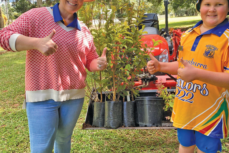 School grows with plants | The Express Newspaper Mareeba, Atherton ...