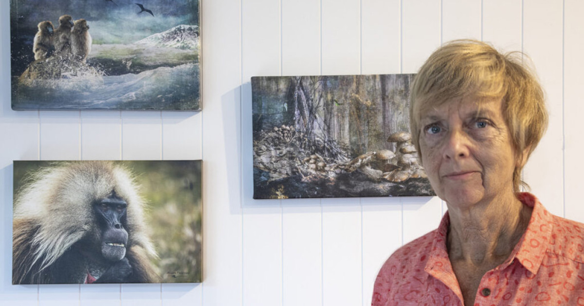 Apply now to exhibit your art | The Express Newspaper Mareeba, Atherton ...