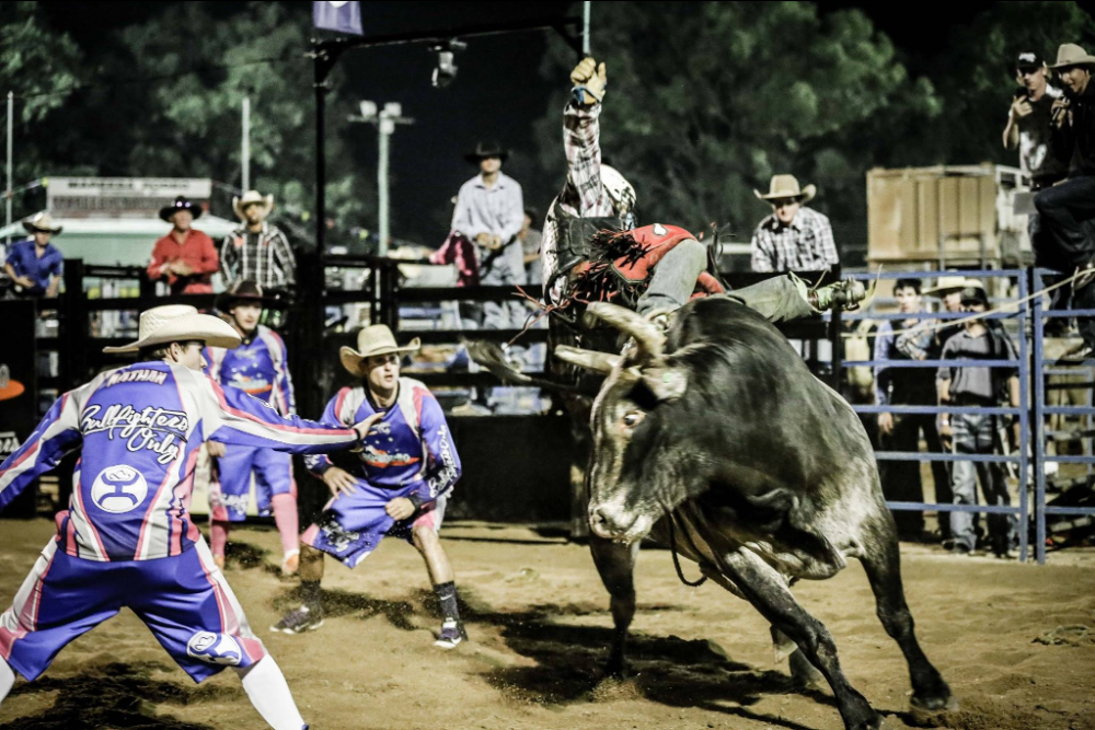 Best of the best to star in bull riding series final | The Express ...