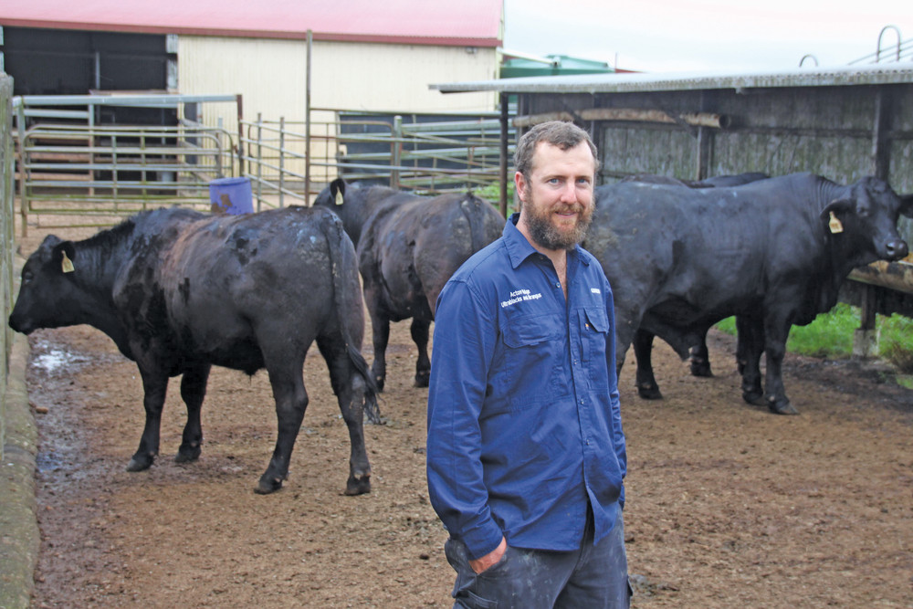 Carcase comp looks to up quality of beef | The Express Newspaper ...