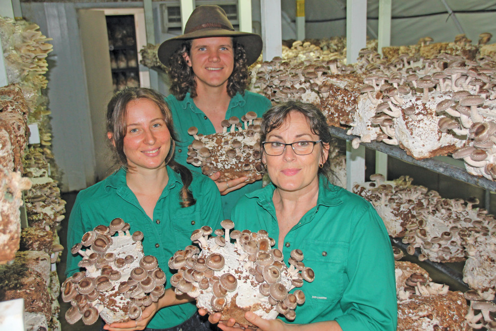 Fungi farm growing like a mushroom | The Express Newspaper Mareeba ...