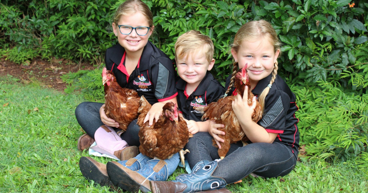 Backyard chicken owners reminded to wash their hands. | The Express ...