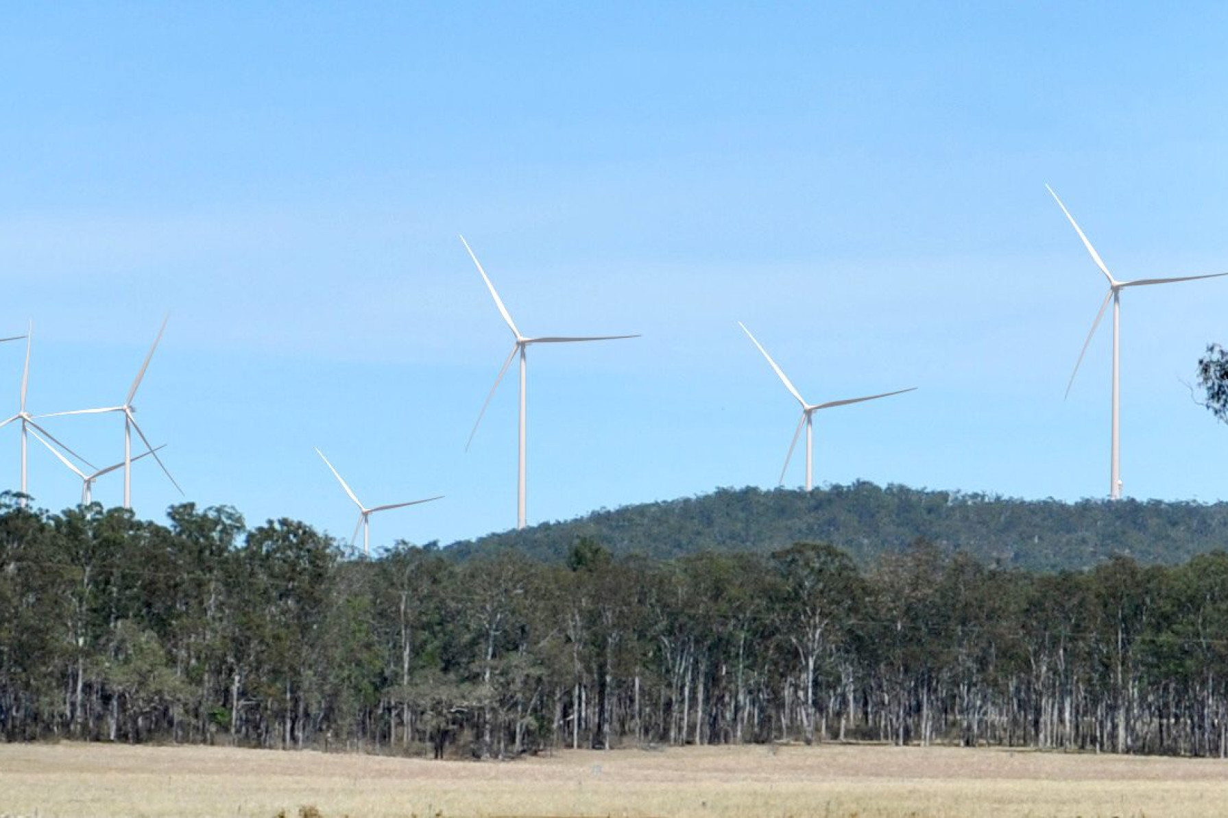 New wind farm expected to generate 150 local jobs | The Express ...