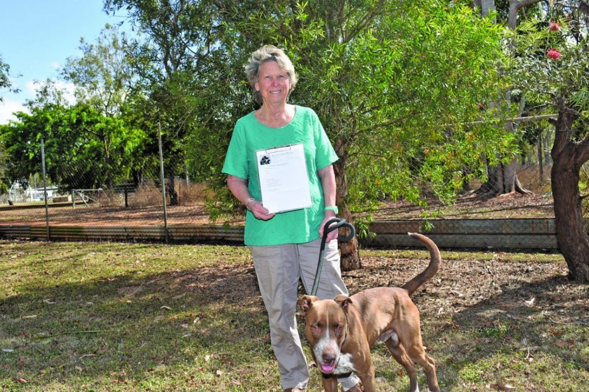 Decline in walkers and increase in adoptions | The Express Newspaper ...