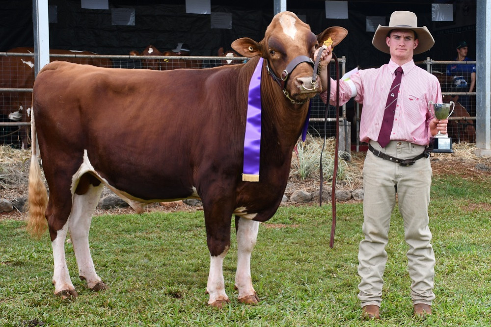 Largest Malanda Show in history | The Express Newspaper Mareeba ...