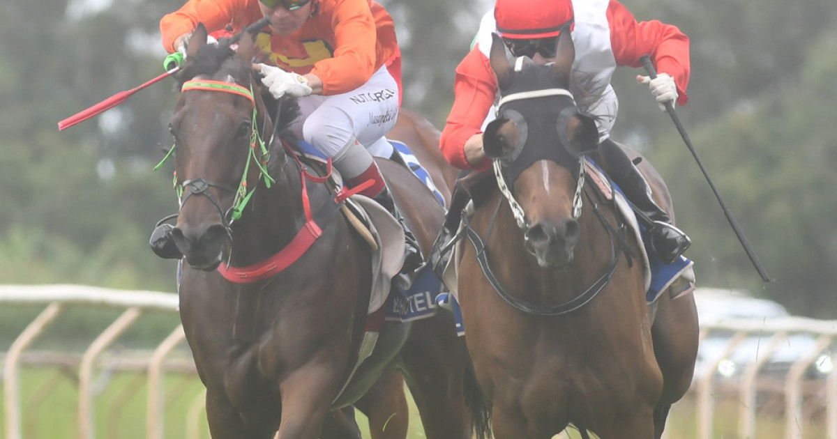 Huge crowds celebrate last race meet of year | The Express Newspaper ...