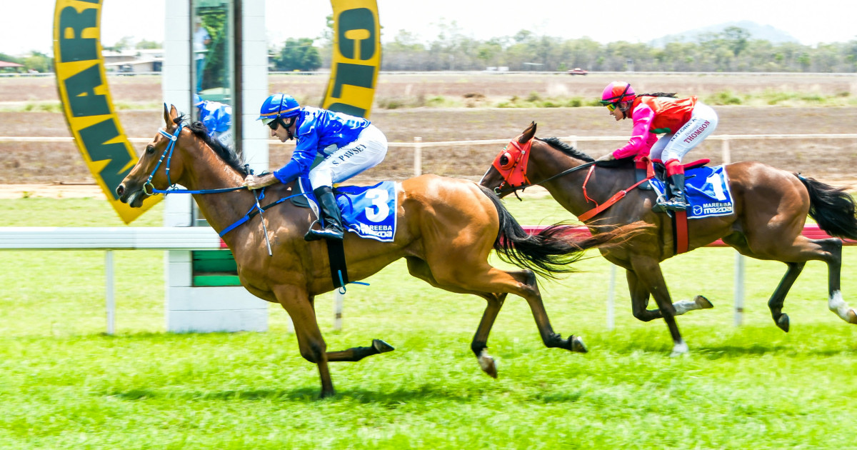 Boxing Day Races on again | The Express Newspaper Mareeba, Atherton ...