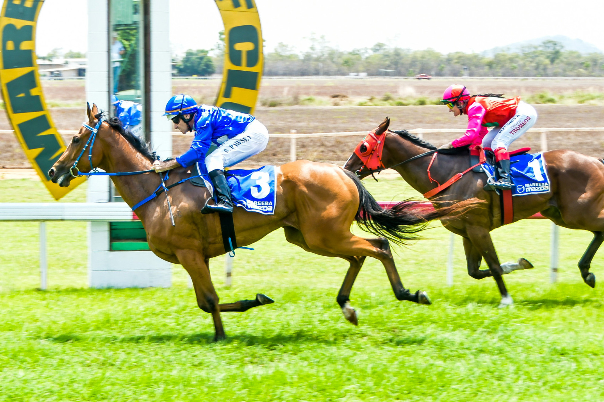 Boxing Day Races on again | The Express Newspaper Mareeba, Atherton ...
