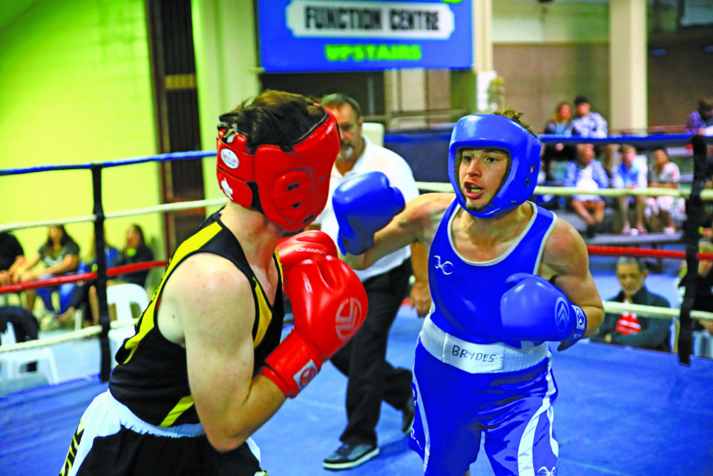 Mareeba boxers named Queensland champions | The Express Newspaper ...