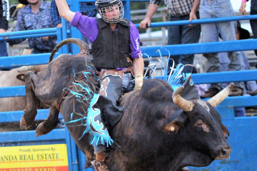 Malanda bullride set to return | The Express Newspaper Mareeba ...