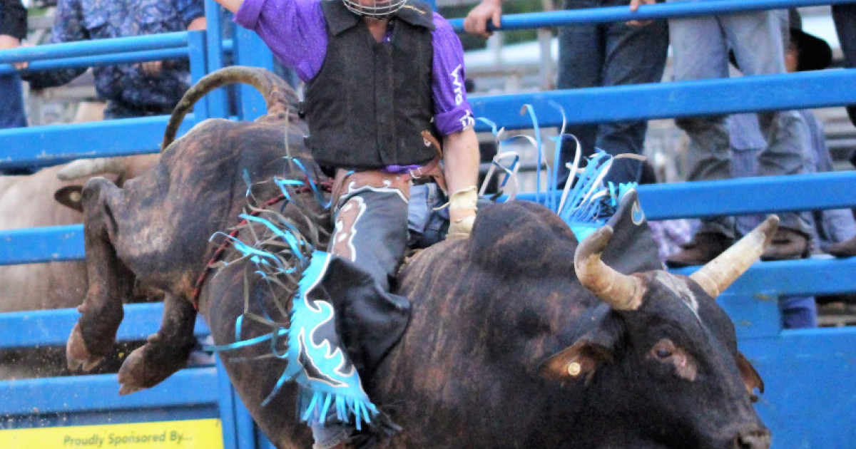 Malanda bullride set to return | The Express Newspaper Mareeba ...