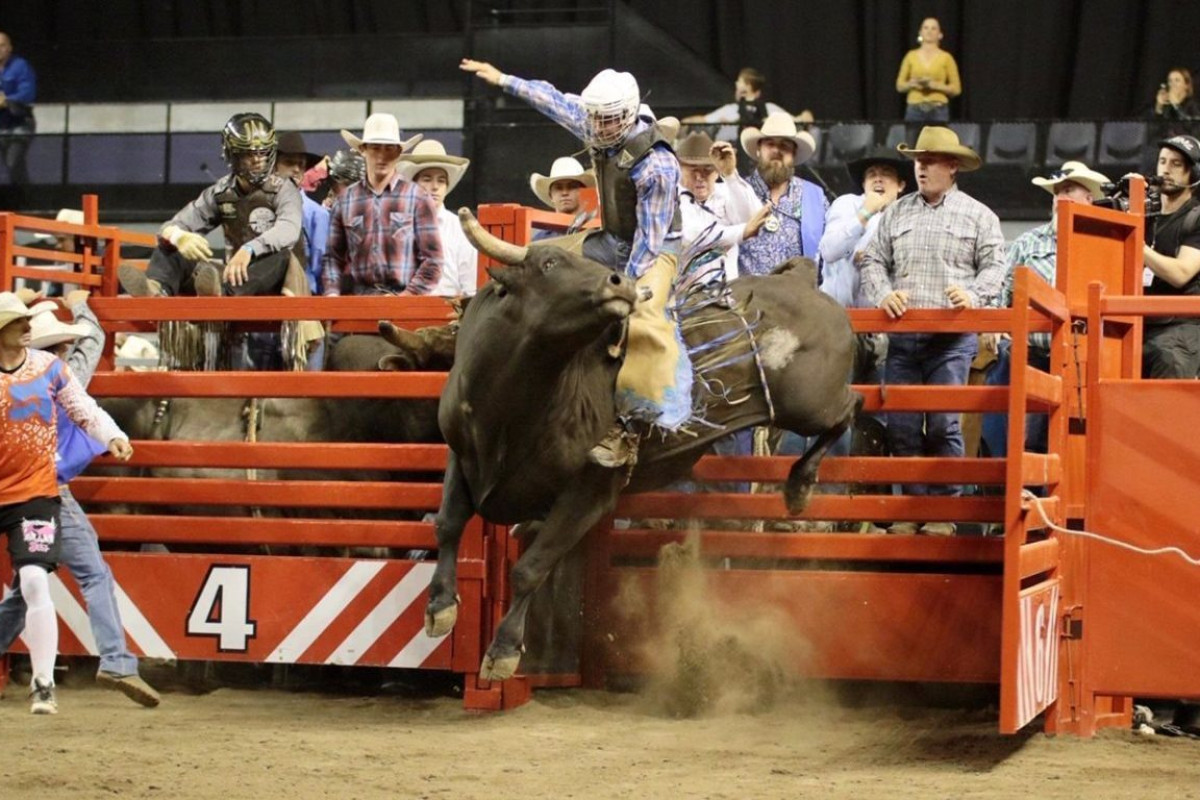 Wyatt to wrestle with the best bulls in the world | The Express ...